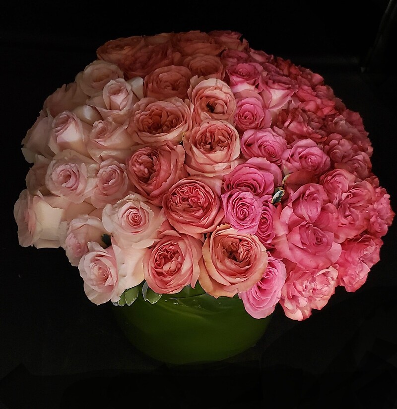 5 dozen roses arranged by a florist in Oak Park, IL : Tulipia Floral Design